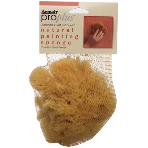 Armaly ProPlus 5 in. W X 4.5 in. L Beige Natural Sponge Painting Sponge ...