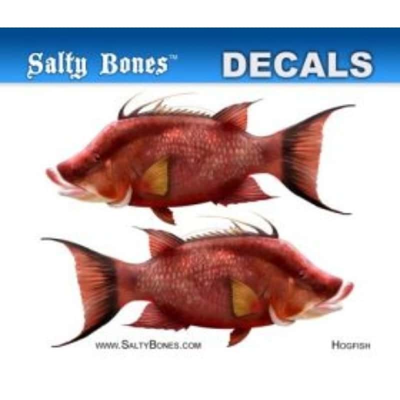 Salty Bones AGI Mini Hogfish Decal Vinyl 1 pk - Ace Hardware
