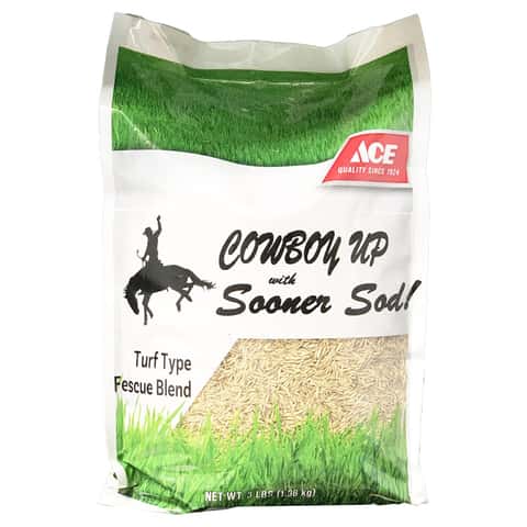 Ace Mixed Sun or Shade Grass Seed 3 lb - Ace Hardware