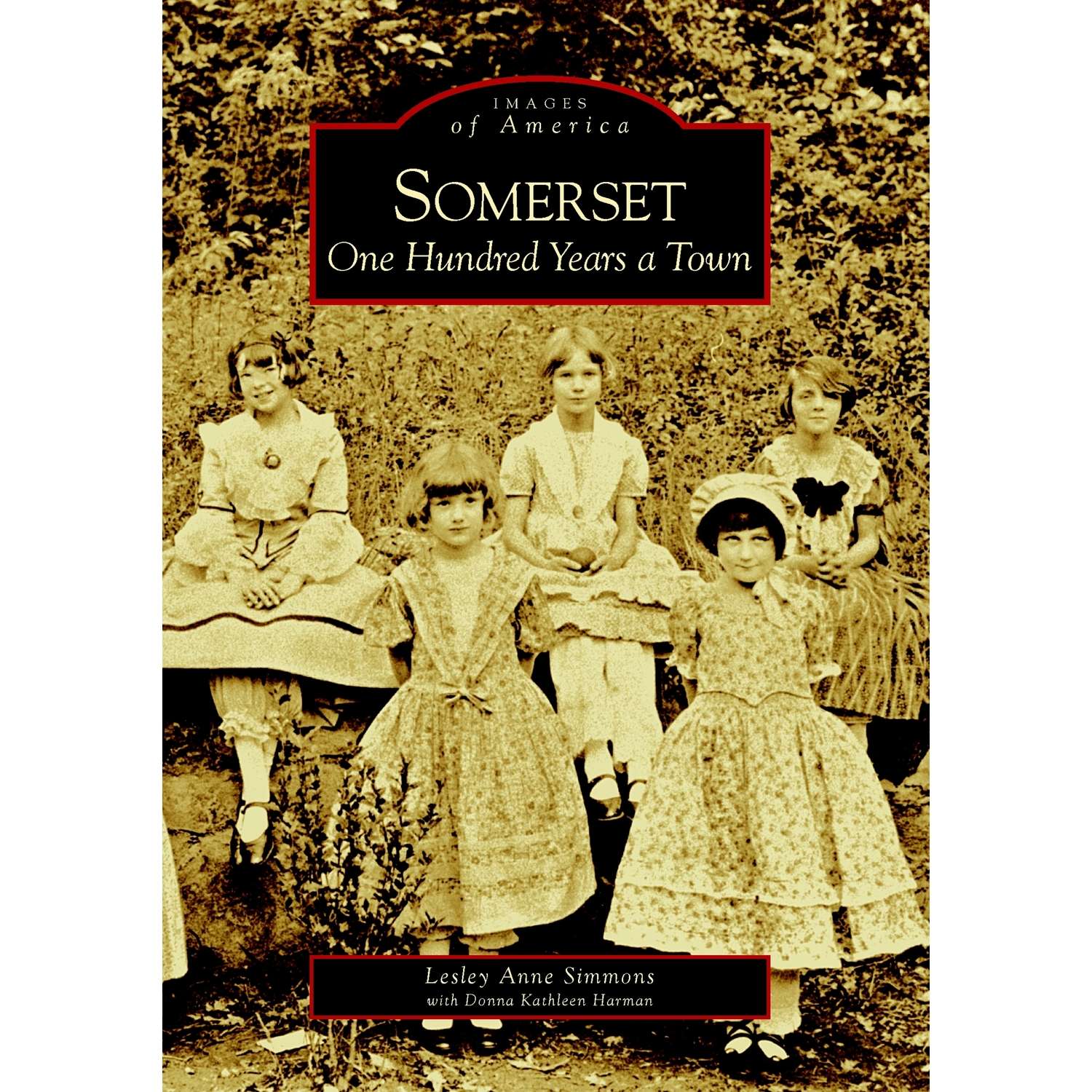 Arcadia Publishing Somerset History Book - Ace Hardware