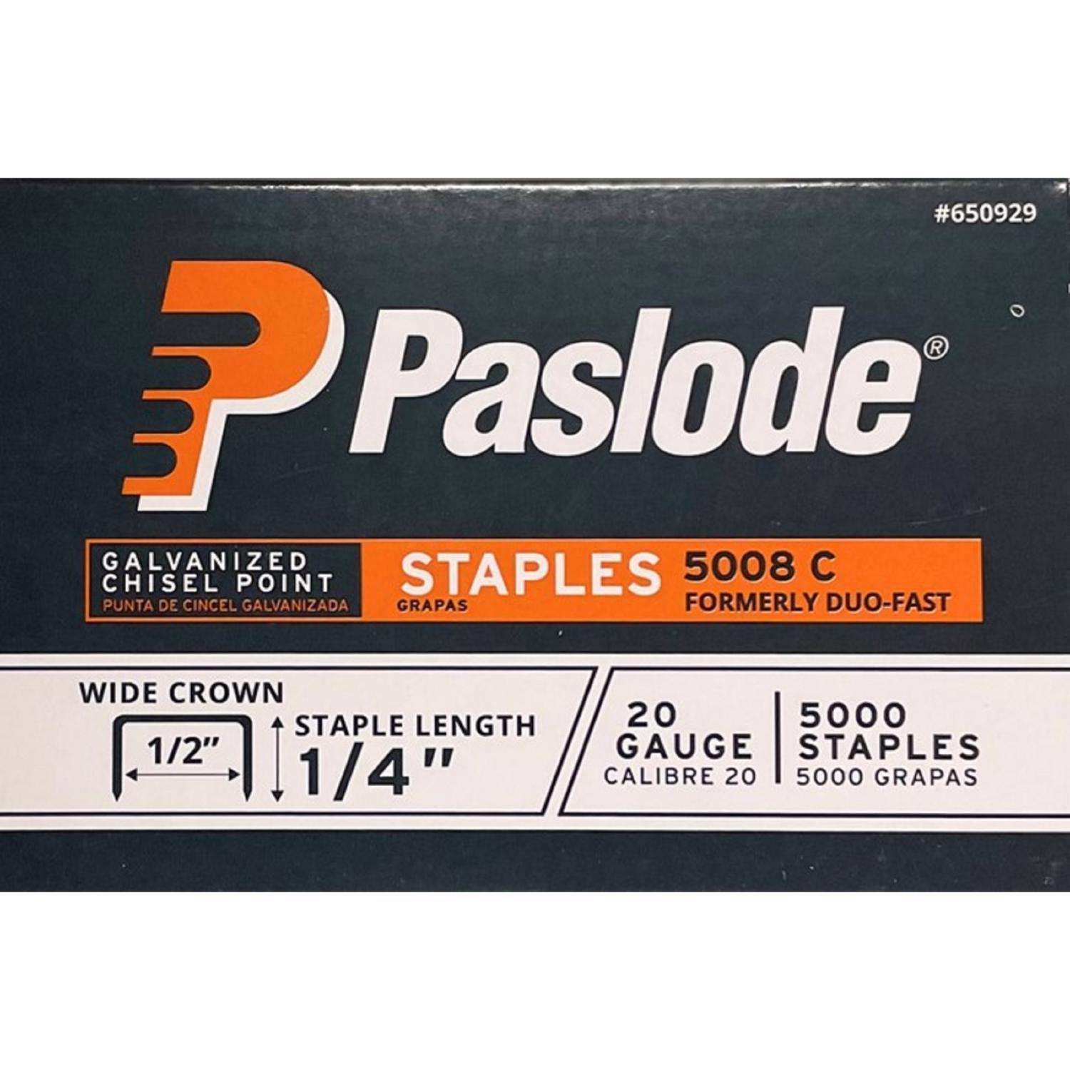 Paslode 1/2 in. W X 1/4 in. L 20 Ga. Wide Crown Staples 5000 pk - Ace ...