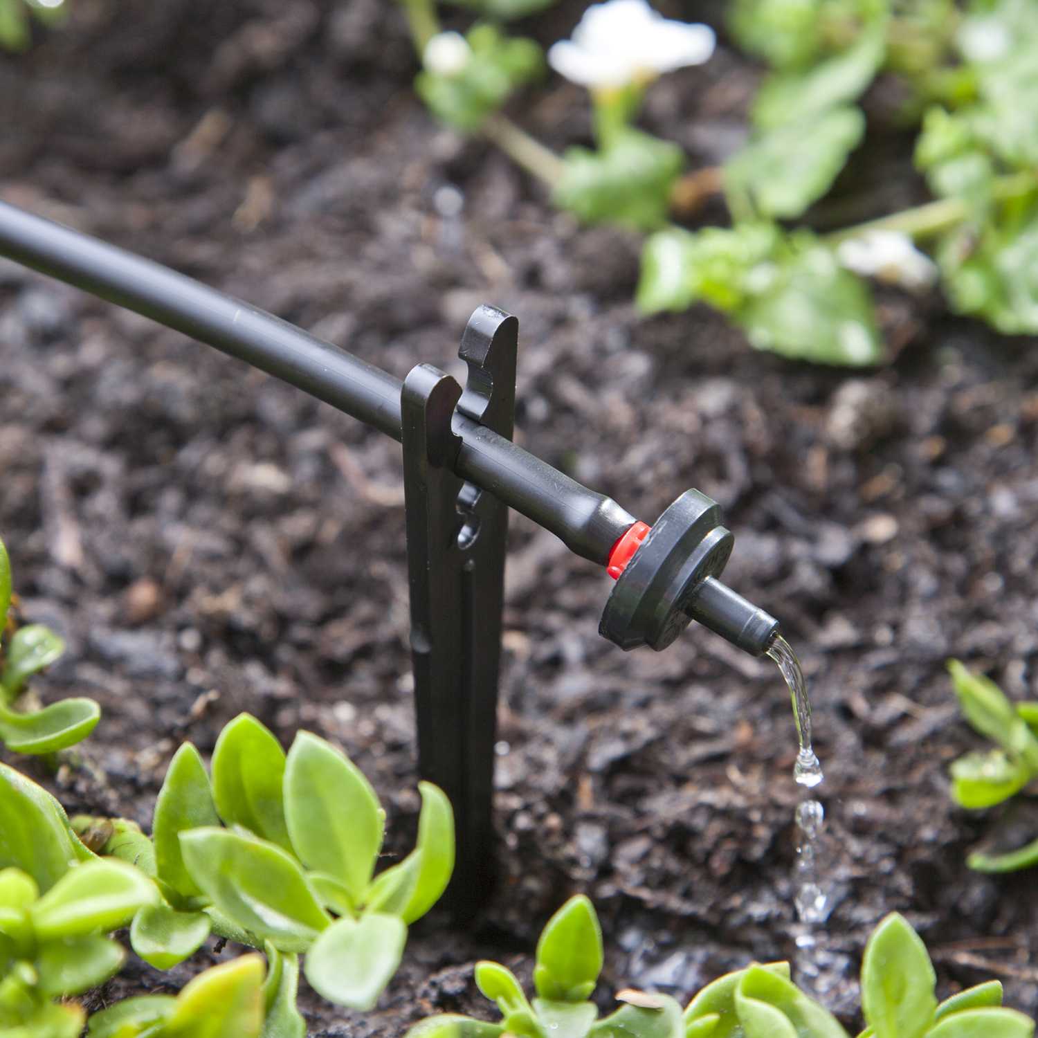 Raindrip Drip Irrigation Button Dripper - Ace Hardware