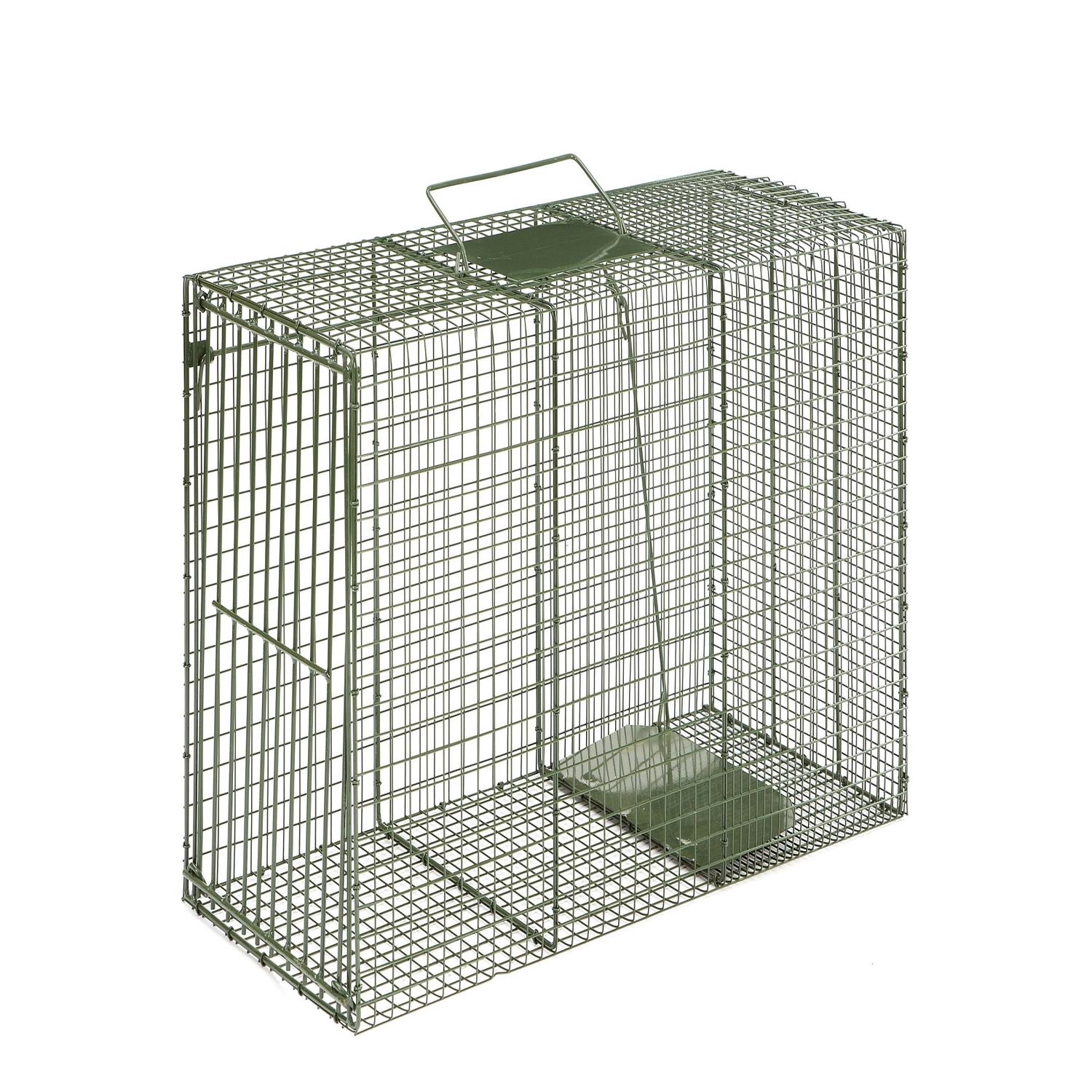 Duke Extra Large Live Catch Cage Trap For Bobcats and Coyotes 1 pk Mfr ...