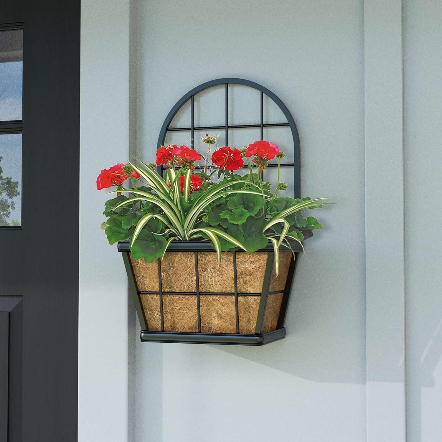 Panacea Steel Wall Planter Black - Ace Hardware