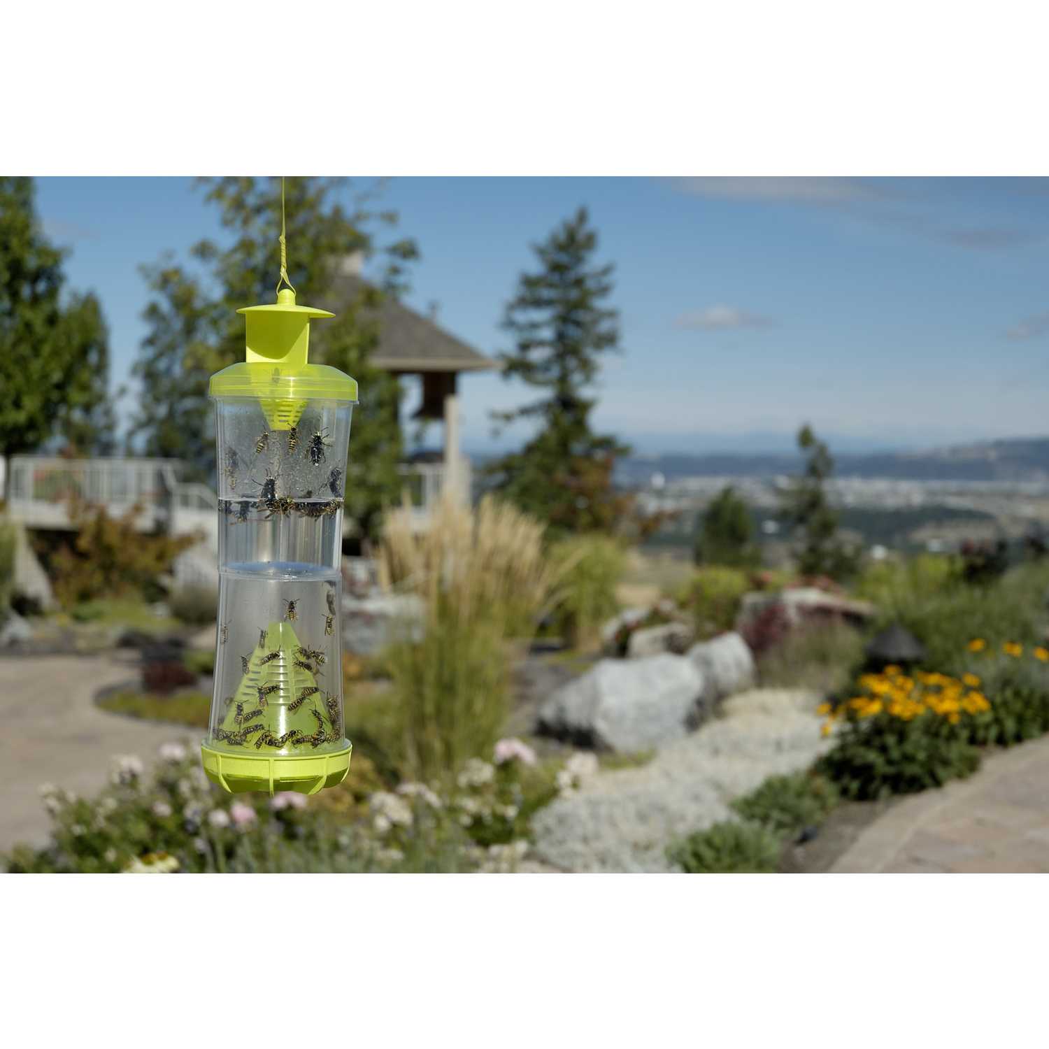 RESCUE Insect Trap 1 pk - Ace Hardware