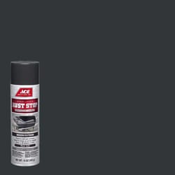 Ace Rust Stop Spray Paint - Ace Hardware