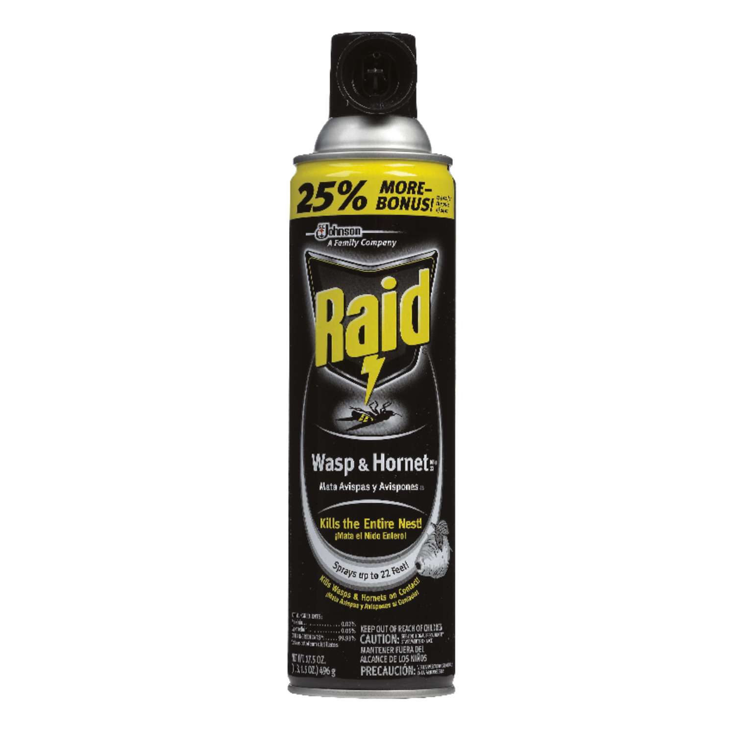 Raid Foam Wasp and Hornet Killer 17.5 oz. - Ace Hardware
