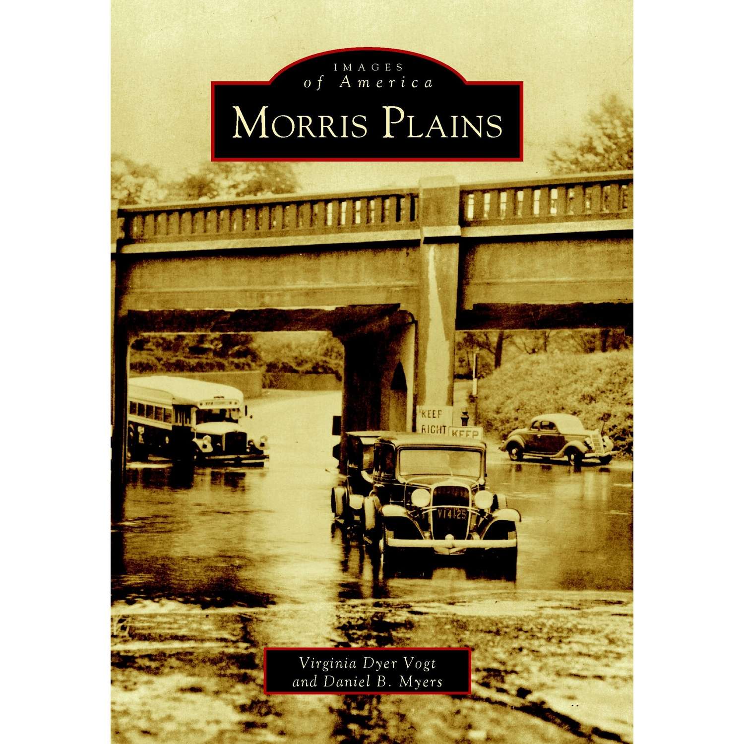 Arcadia Publishing Morris Plains History Book - Ace Hardware