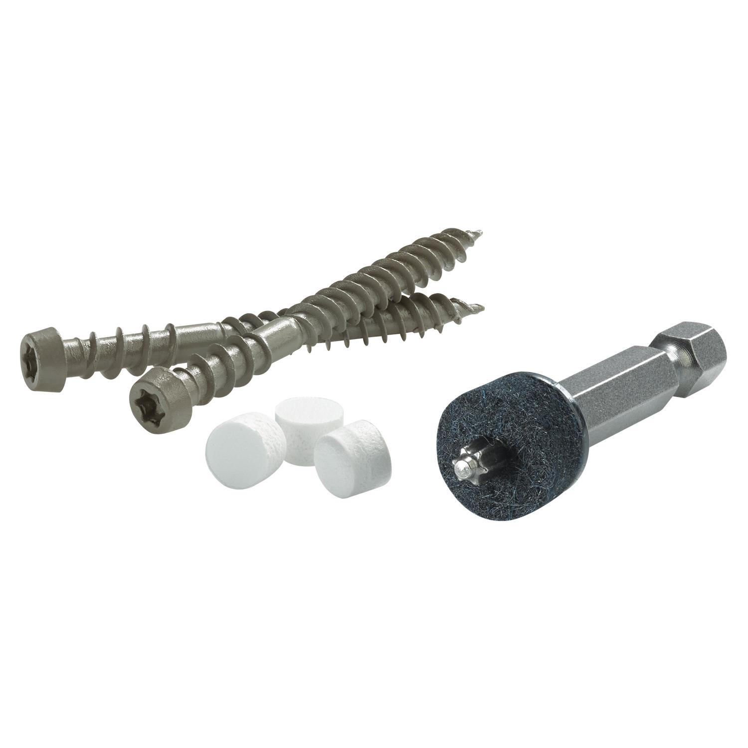 FastenMaster Cortex 2-3/4 in. L Square Trim Head Deck Screws - Ace Hardware