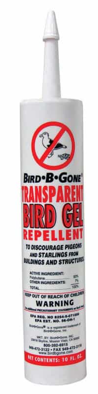 Bird-B-Gone Bird Repellant Gel For Assorted Species - Ace Hardware