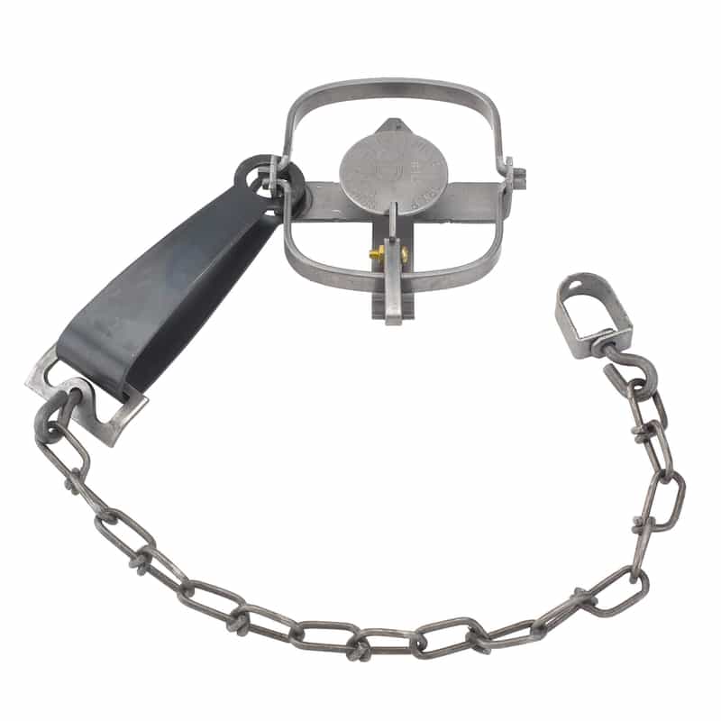 Duke #1 Small Long Spring Animal Trap For Minks 1 pk - Ace Hardware