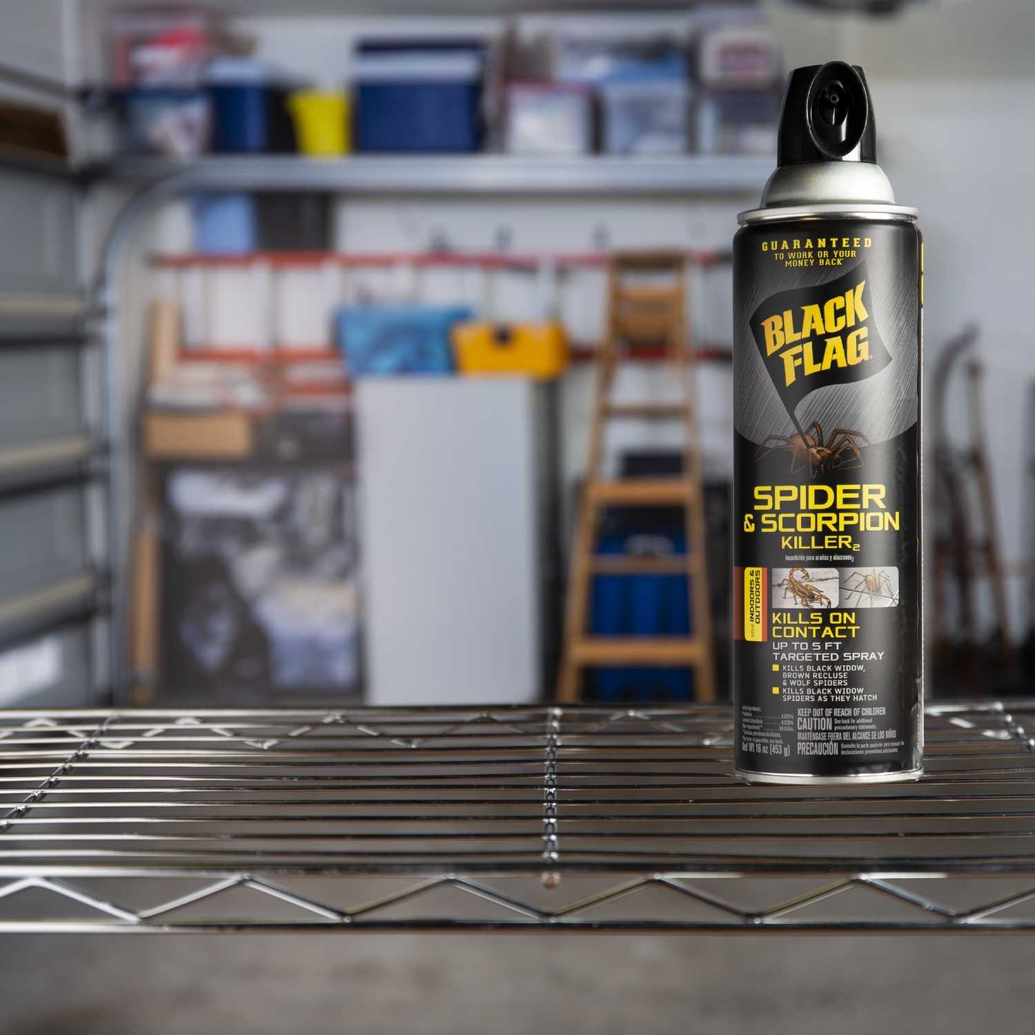 Black Flag Insect Killer 16 oz. - Ace Hardware