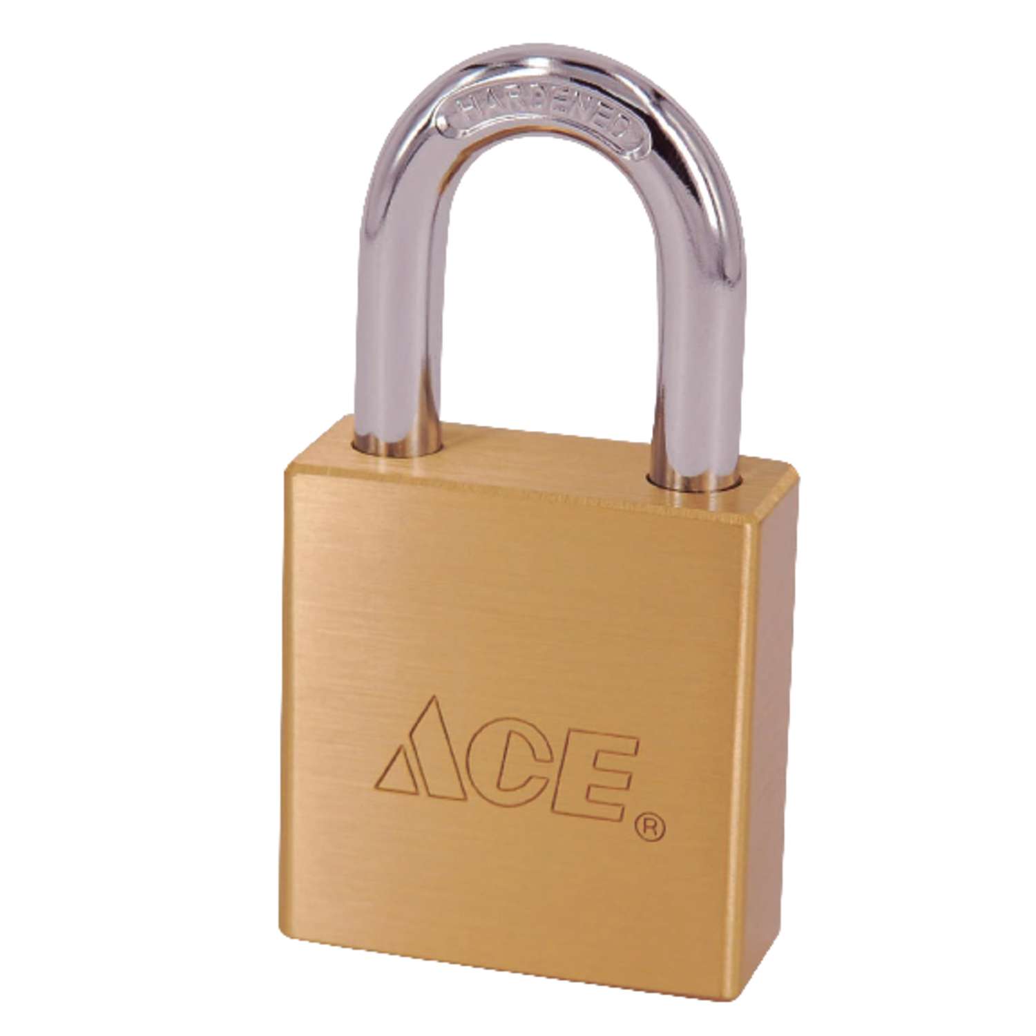 Ace 2-3/16 in. H X 1-3/4 in. W X 3/4 in. L Brass Double Ball Locking ...