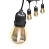Feit LED String Lights w/Remote Control Amber 24 ft. 12 lights - Ace ...