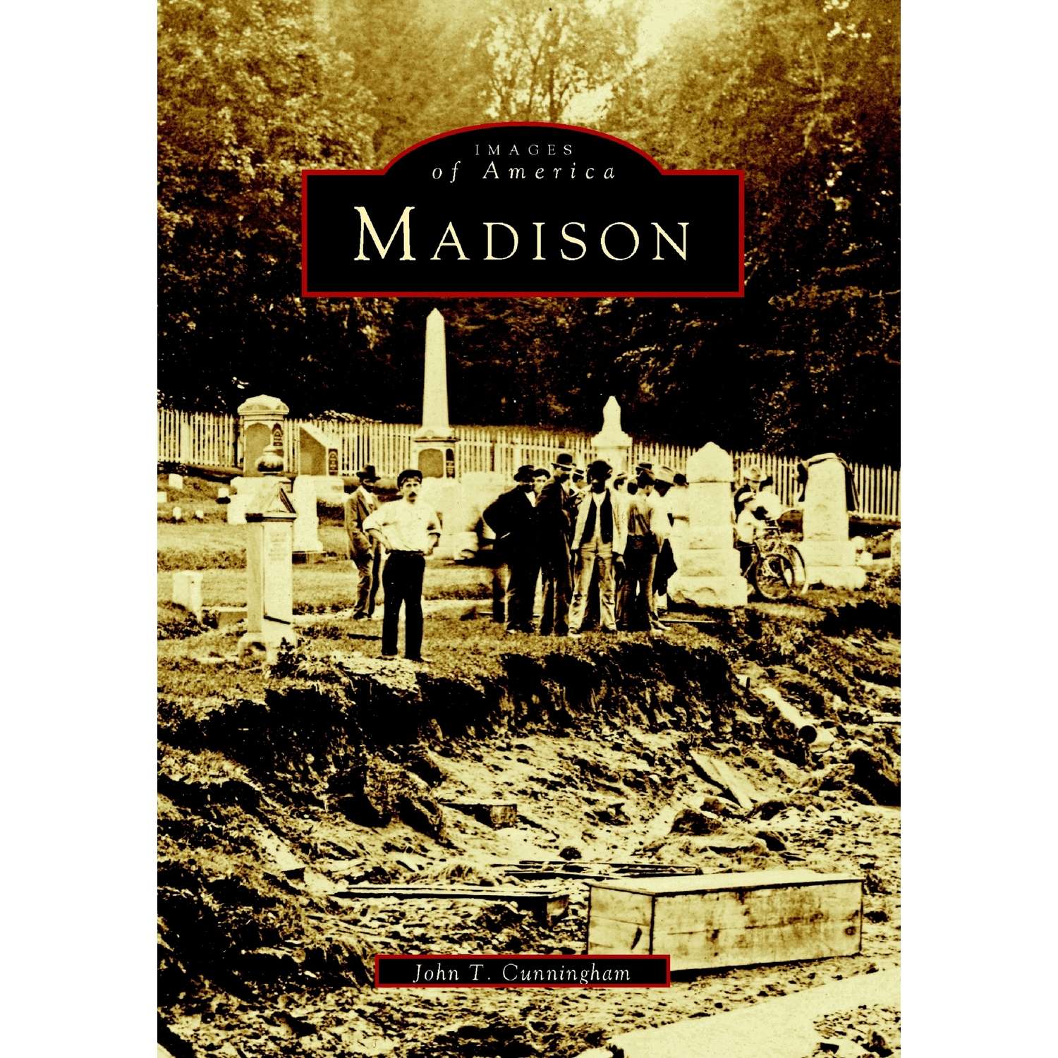 Arcadia Publishing Madison History Book - Ace Hardware