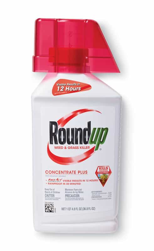 Roundup Weed and Grass Killer Concentrate 36.8 oz. - Ace Hardware