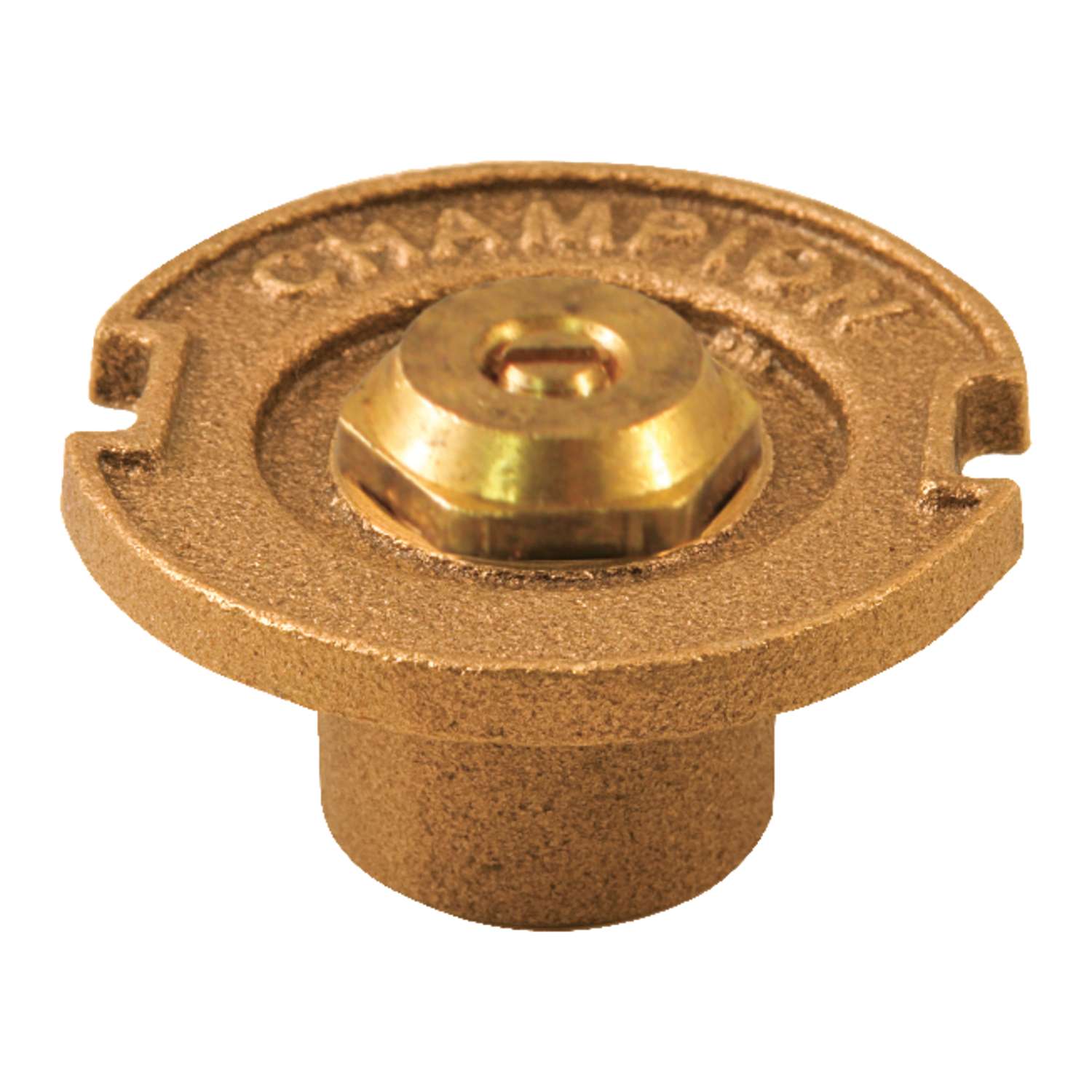 Champion 1/2 in. D X 1.1 in. L Spray Shrub Riser - Ace Hardware