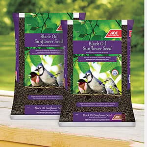 Ace Hardware | The Helpful Place - Ace Hardware