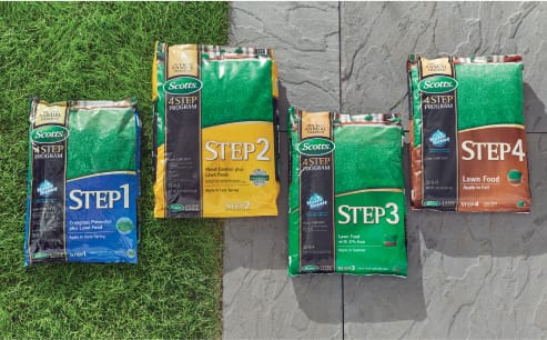 New At Ace Launch Party - Ace Hardware