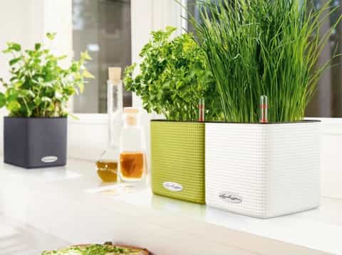 Outdoor Planters & Baskets at Ace Hardware