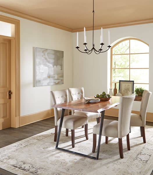 Home Painting Trends & Popular Colors | The Paint Studio - Ace Hardware