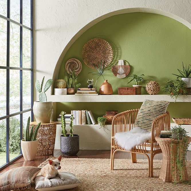 Home Painting Trends & Popular Colors | The Paint Studio - Ace Hardware